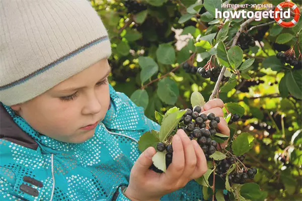 A yw'n bosibl i blant yn y Black Rowan