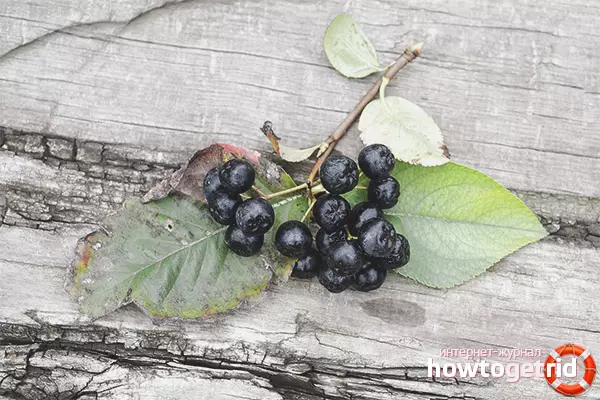 Blackfold Rowan.