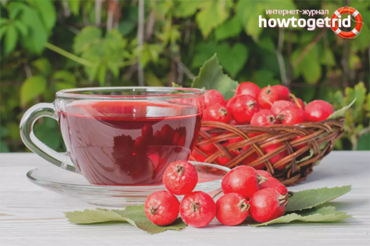 Mokhoa oa ho Brew ka Hawthorn