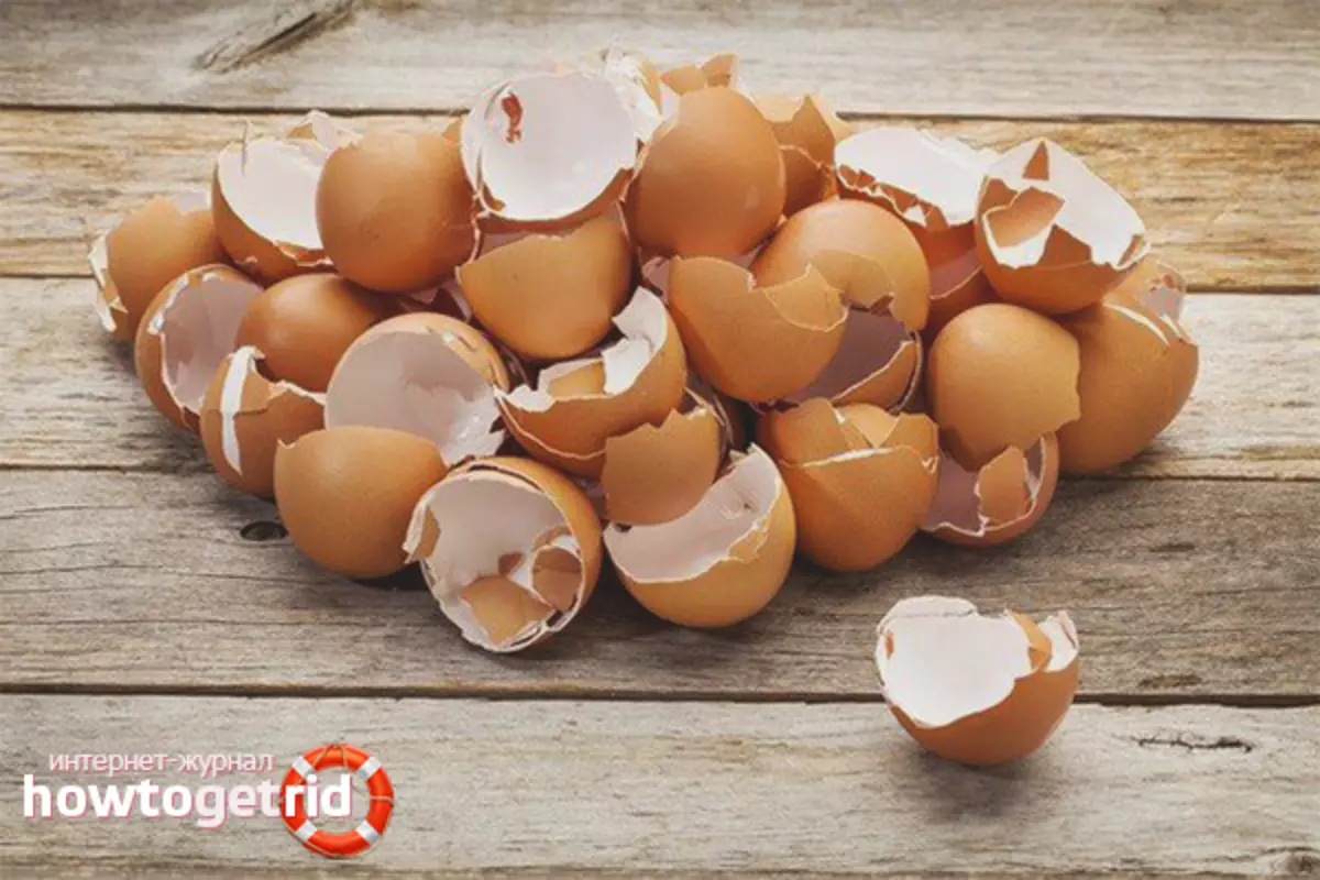 How to cook and eat eggshell