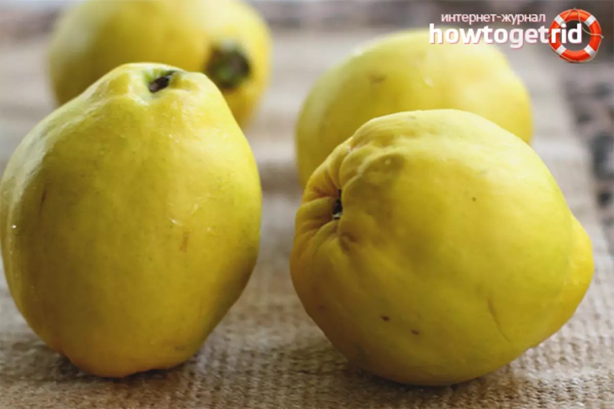 របៀបប្រើ quince ជប៉ុន