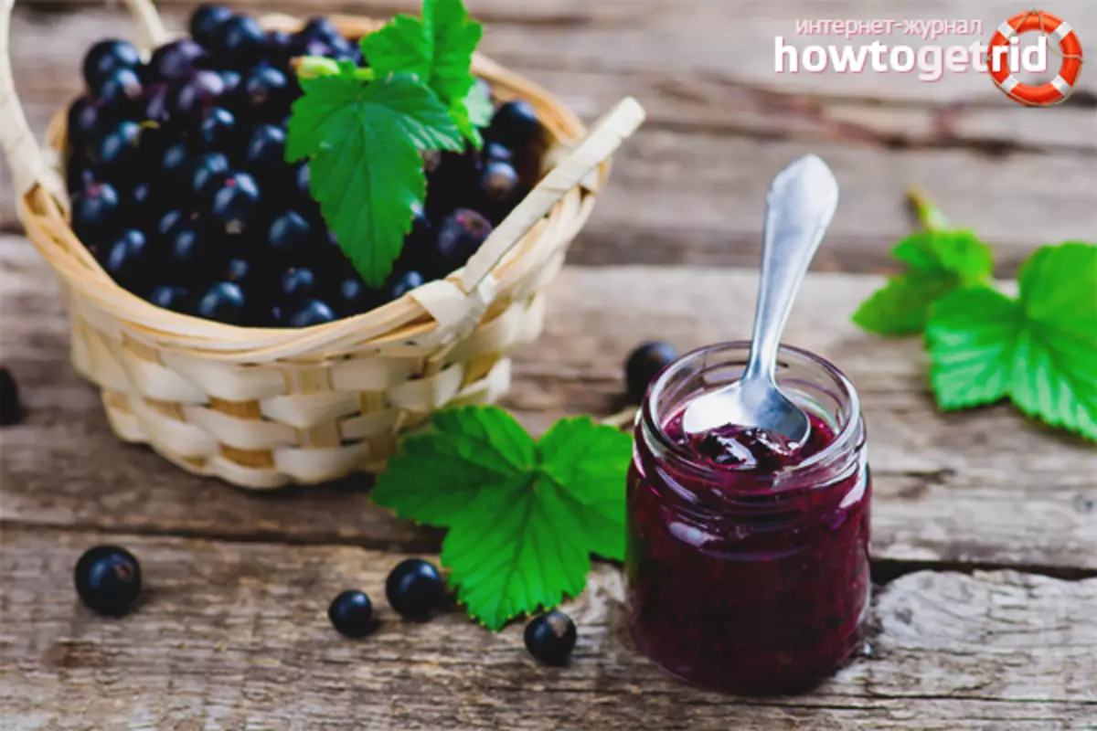 Smorodine jelly jam.