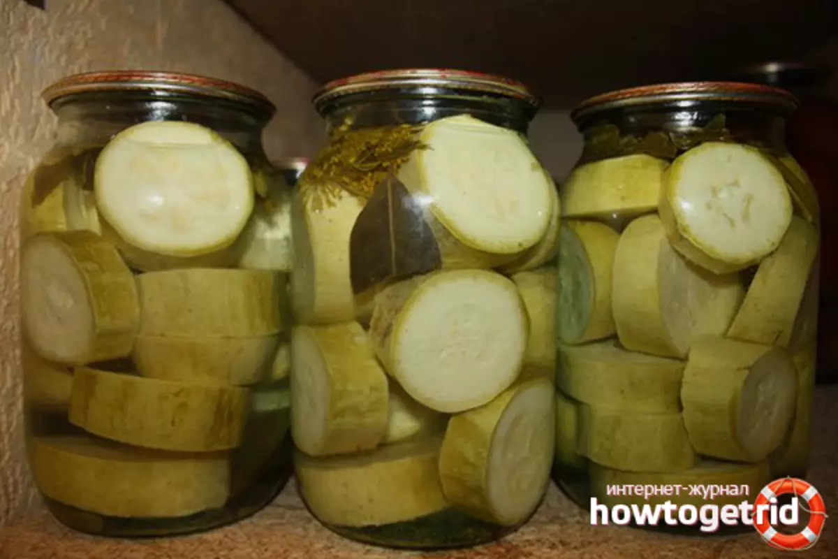 Faʻafefea ona Faʻatumau Zucchini mo le taumalulu