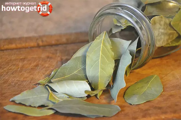 Cómo almacenar una hoja de laurel