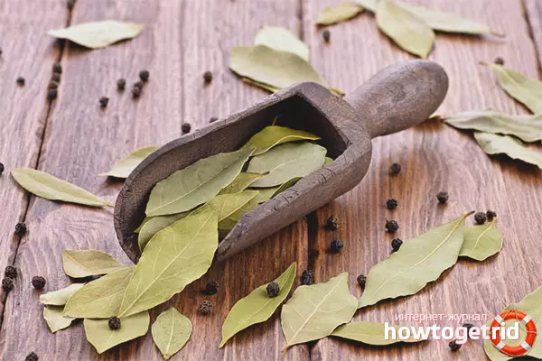 Cómo elegir una hoja de laurel en la tienda.