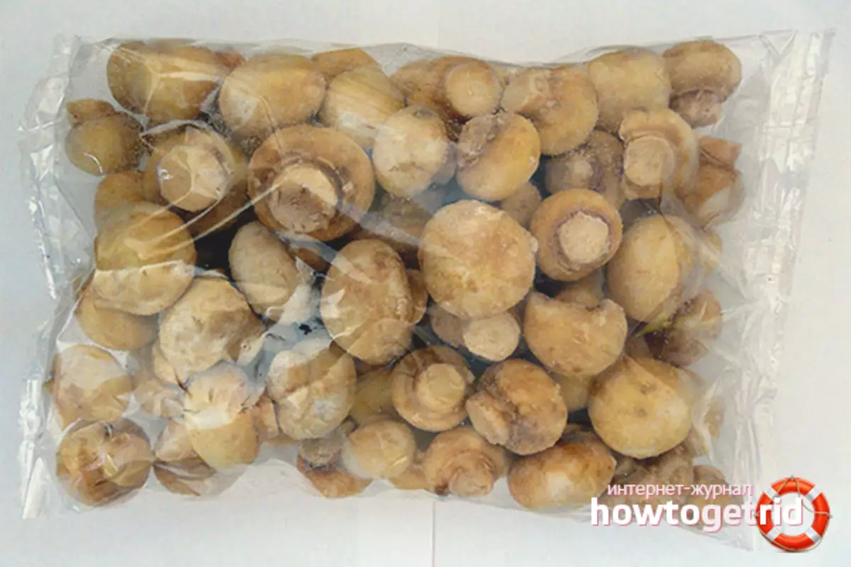 Kış için Champignons nasıl dondurulur