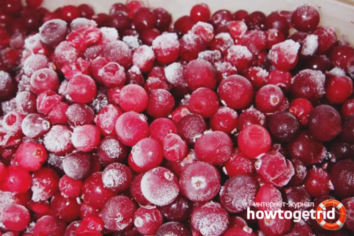 frozen lingonberry