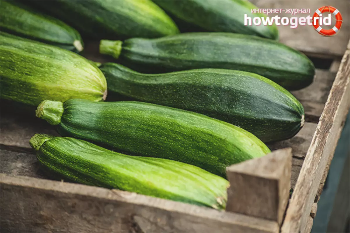 Paano mag-imbak ng zucchini.