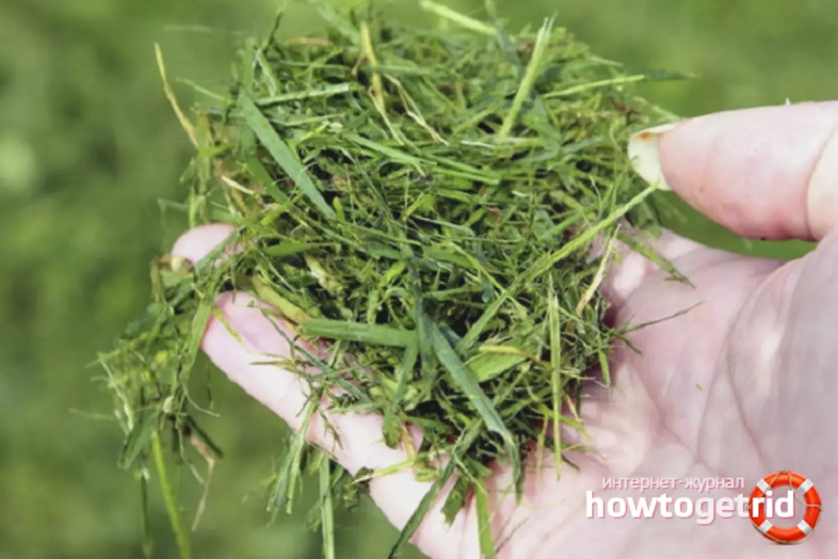 How to make herb fertilizer