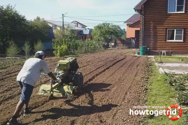 Mënyra mekanike për të hequr qafe mut