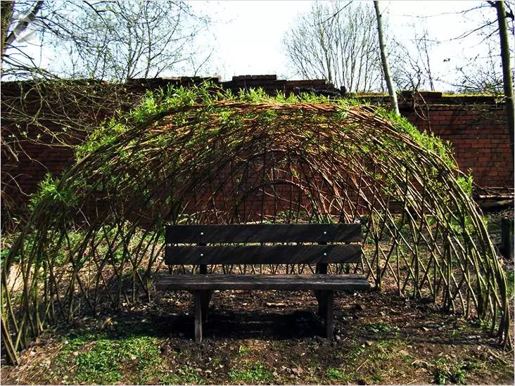 সুবিধাগুলি এবং অসুবিধাগুলি