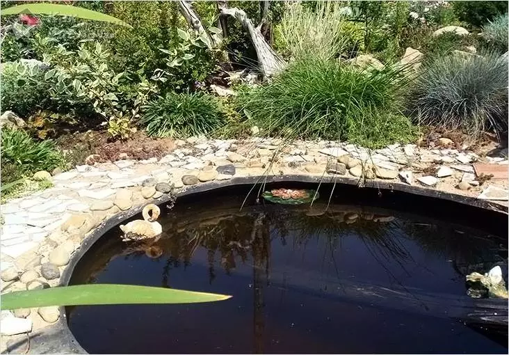 Tyre Pond