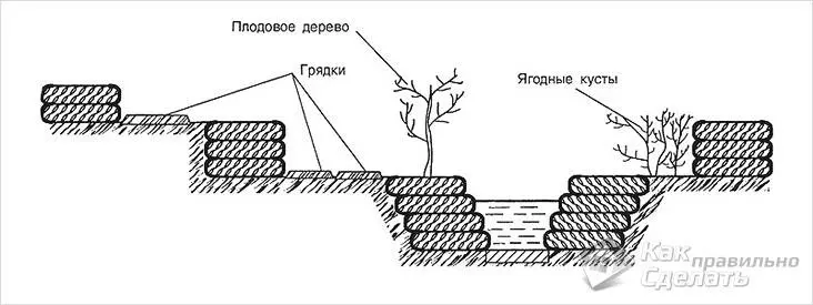 Ditch საბურავების სქემის გაძლიერება