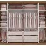 Garderobe-compartiment: hoe u de vulling van de kast, tips, voorbeelden en instructies correct plannen 4325_51