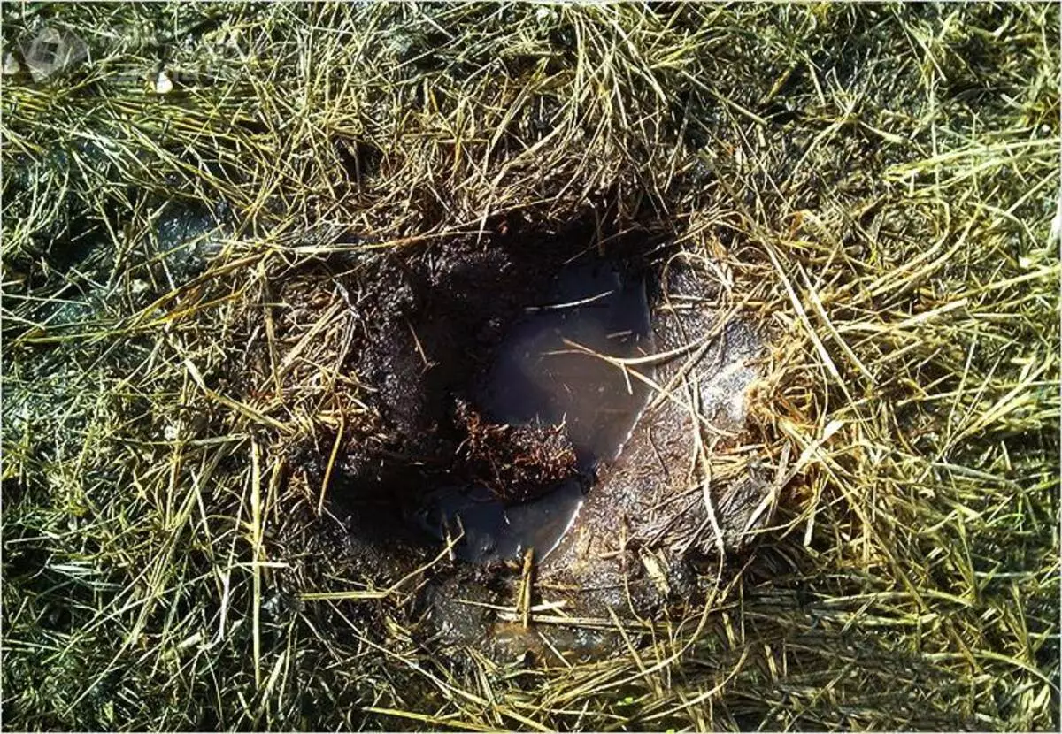 On peat soils