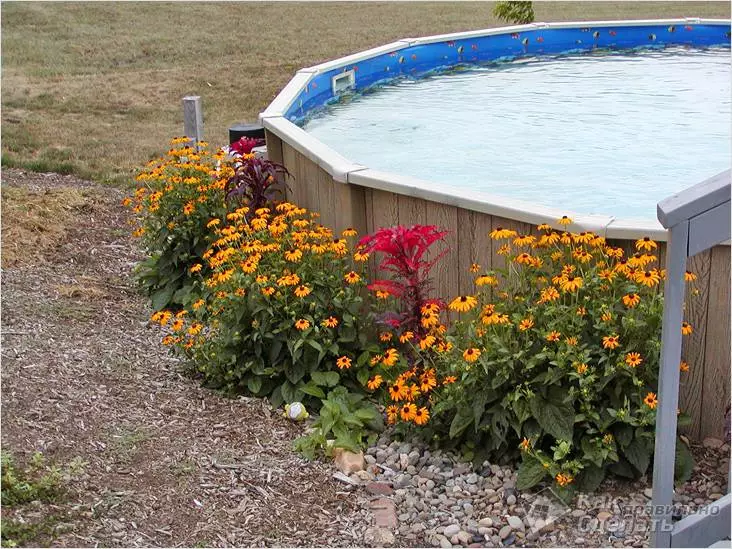 Piscina de semi-raza