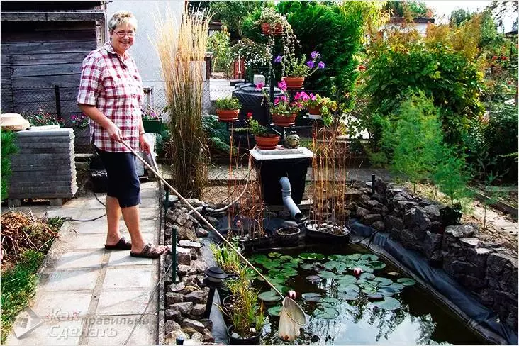 Paano linisin ang pond gamit ang kanilang sariling mga kamay sa maliit na bahay - mula sa putik, mula sa algae 5236_1