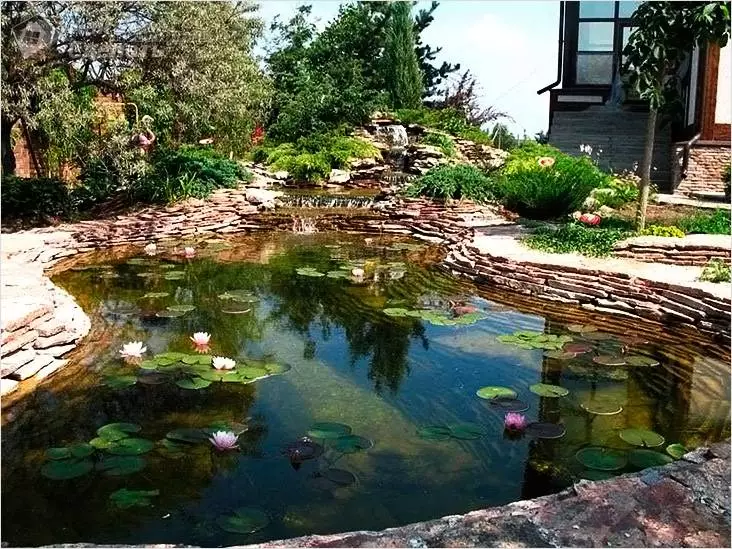 Ang mga pangunahing uri at pinagkukunan ng polusyon sa tubig sa pond