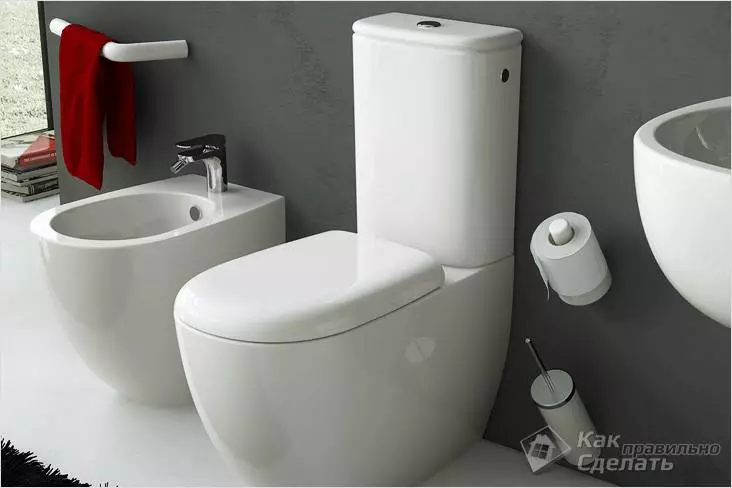 How to install the toilet with your own hands - installation of the toilet to the tile (+ schemes)