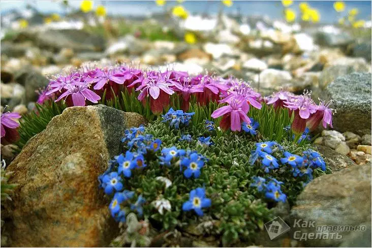 Bagaimana untuk membuat slaid alpine dengan tangan anda sendiri + foto 5694_1