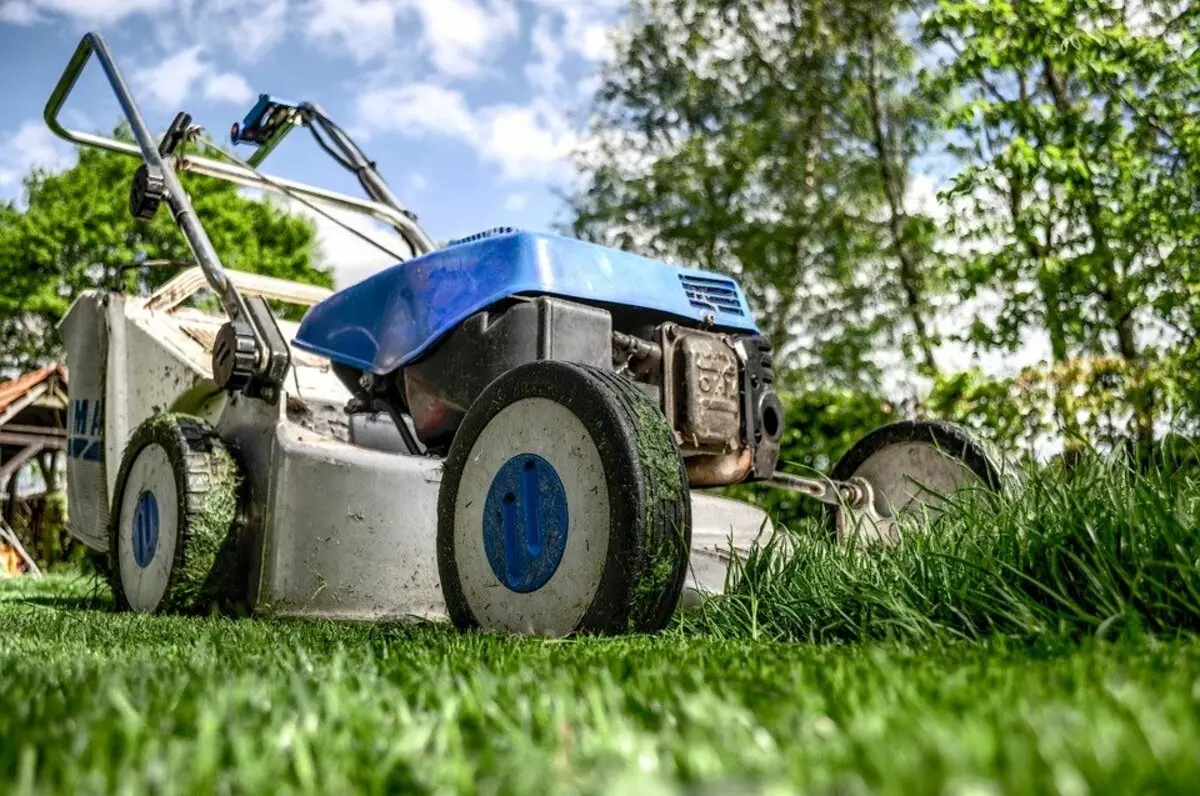 Maitiro ekusarudza lawn fower - mhando, yakatarwa, zvazvino zvatanga