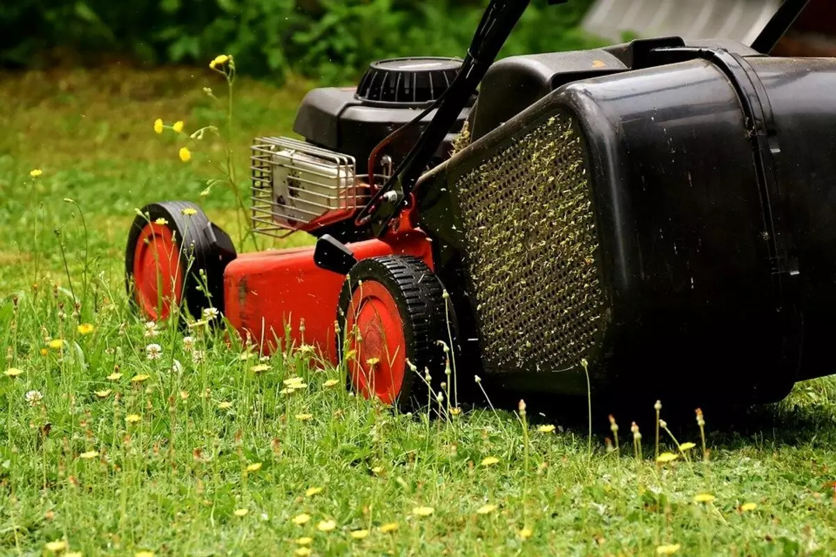 Ki jan yo chwazi yon mower gazon - Espesyal, Espesifikasyon, Dènye Tandans 5870_3