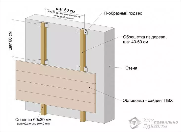 Cinema po dailylentės