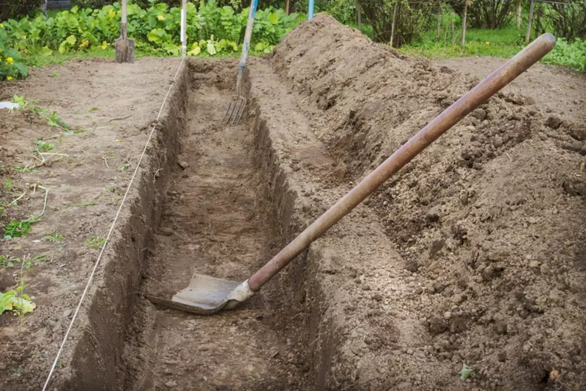 Versare un basamento del nastro con le tue mani: video, varietà e fasi di installazione, istruzioni per la costruzione 6041_10