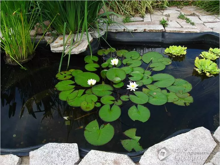 Pond sebakeng sa marang-rang